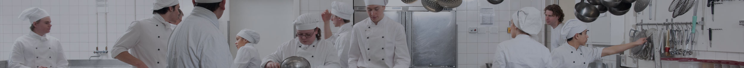 Flying Insect Killer | Fly Killer - Vectorthor